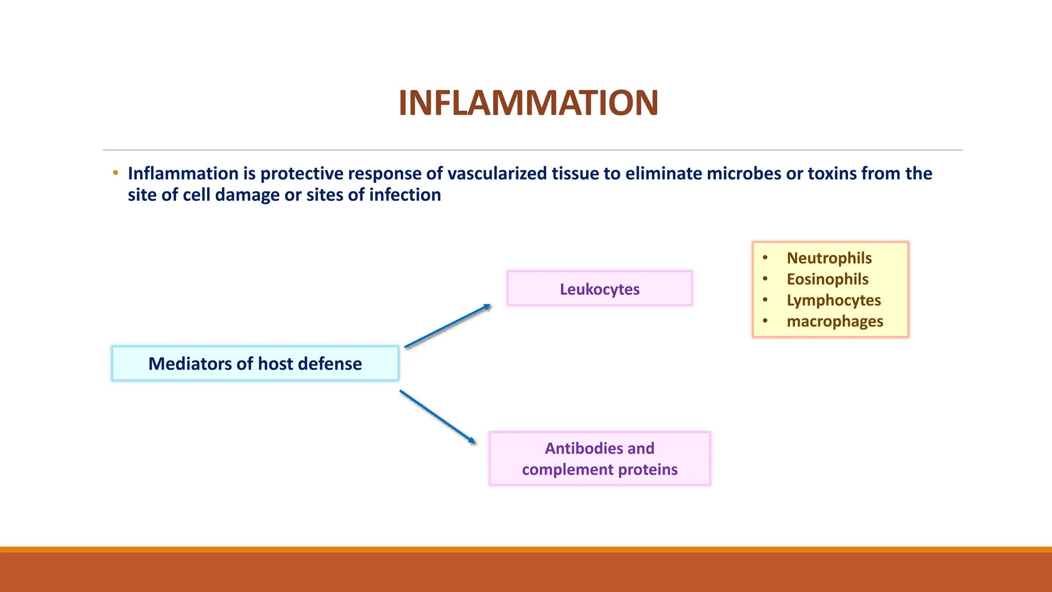 Chapter 2 Acute-inflammation general pathology | PPTX