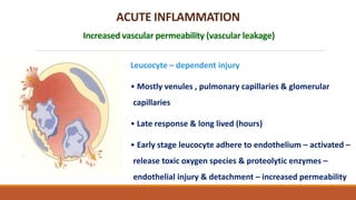 Chapter 2 Acute-inflammation general pathology | PPTX
