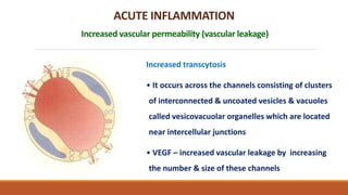 Chapter 2 Acute-inflammation general pathology | PPTX