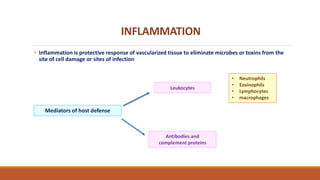 Chapter 2 Acute-inflammation general pathology | PPTX