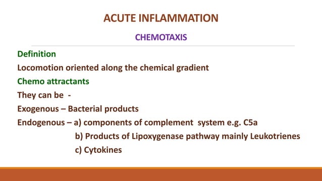 Chapter 2 Acute-inflammation general pathology | PPTX | Blood Disorders ...