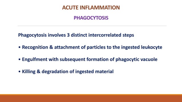 Chapter 2 Acute-inflammation general pathology | PPTX | Blood Disorders ...
