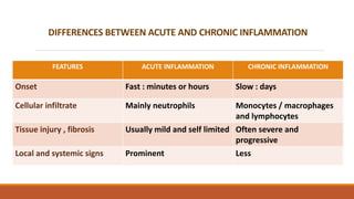 Chapter 2 Acute-inflammation general pathology | PPTX