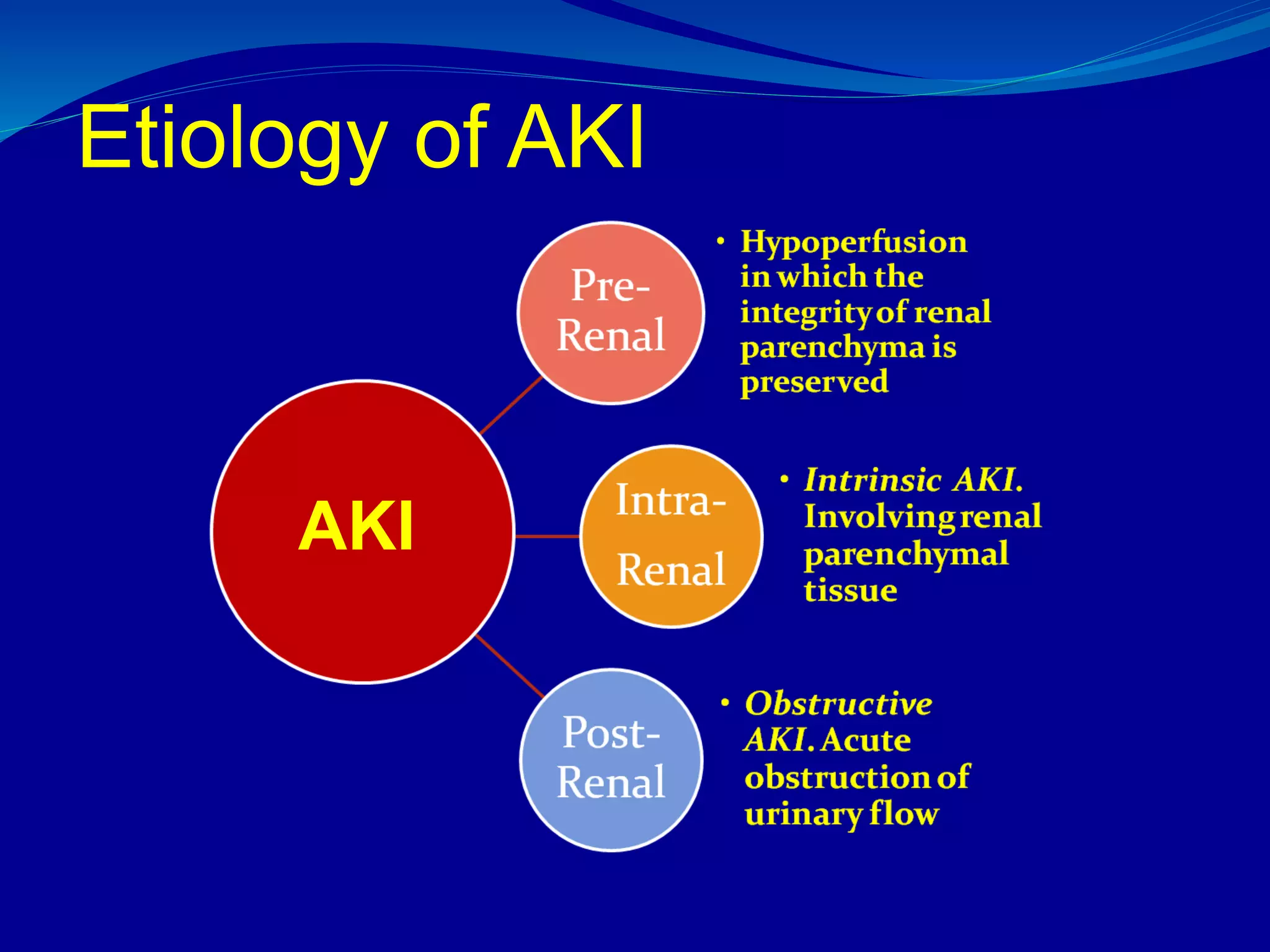 acute-kidney-injury.ppt