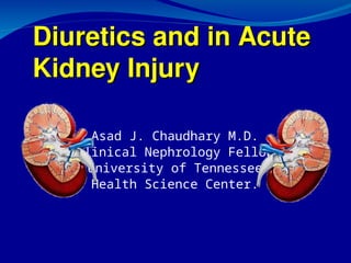 DIURETICS DRUG AND ACUTE KIDNEY INJURY, GOOD OR NOT? | PPT
