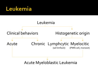 Acute Monocytic Leukemia | PPT
