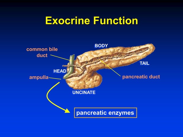 Acute-PancreatitisAcute-PancreatitisAcute-PancreatitisAcute ...