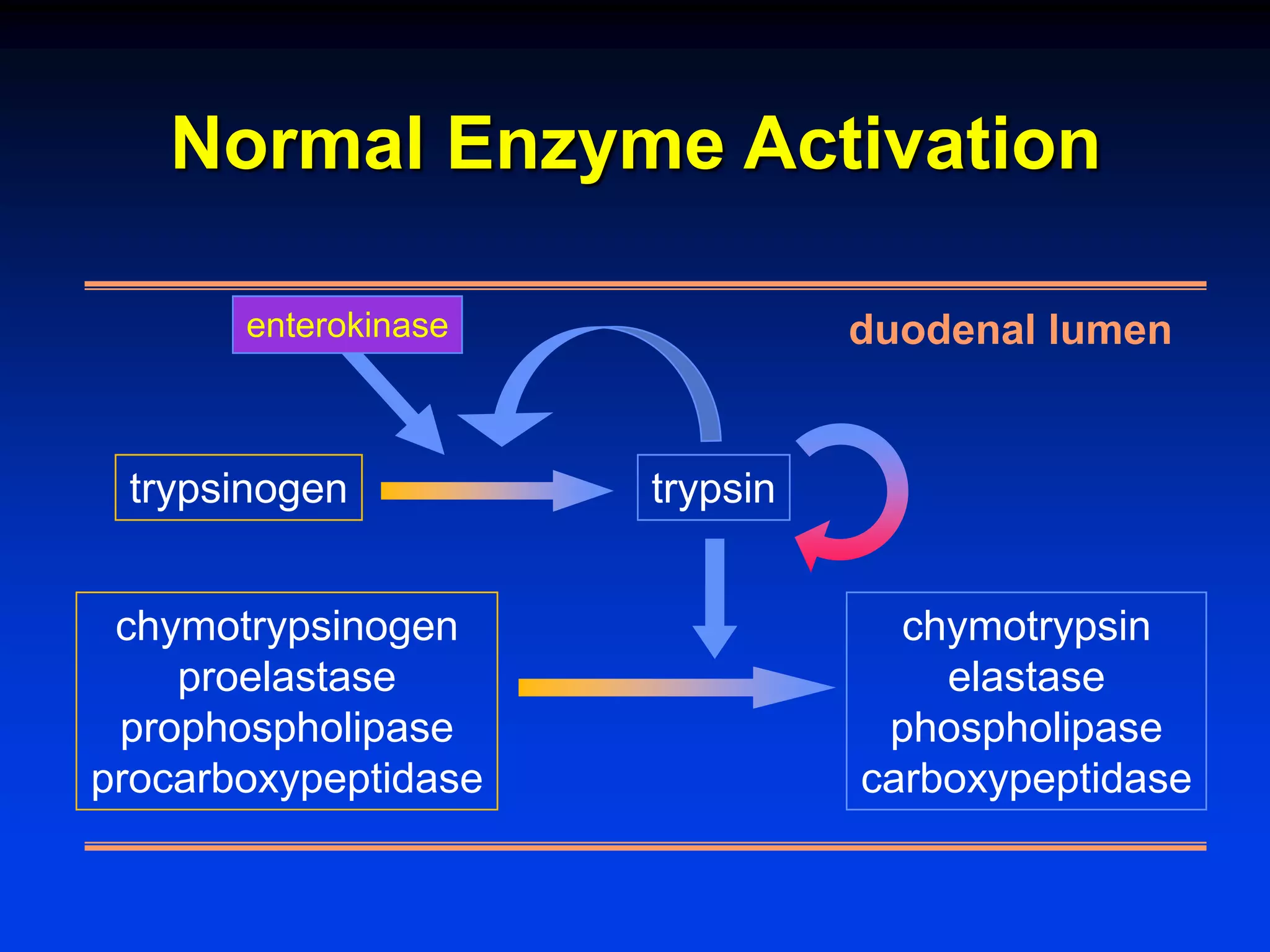 Acute-Pancreatitis copy 1.pptx
