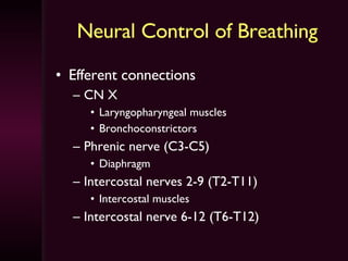 Acute Peripheral Neurologic disorder | PPT