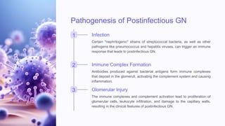 Acute-Postinfectious-Poststreptococcal-Glomerulonephritis.pptx