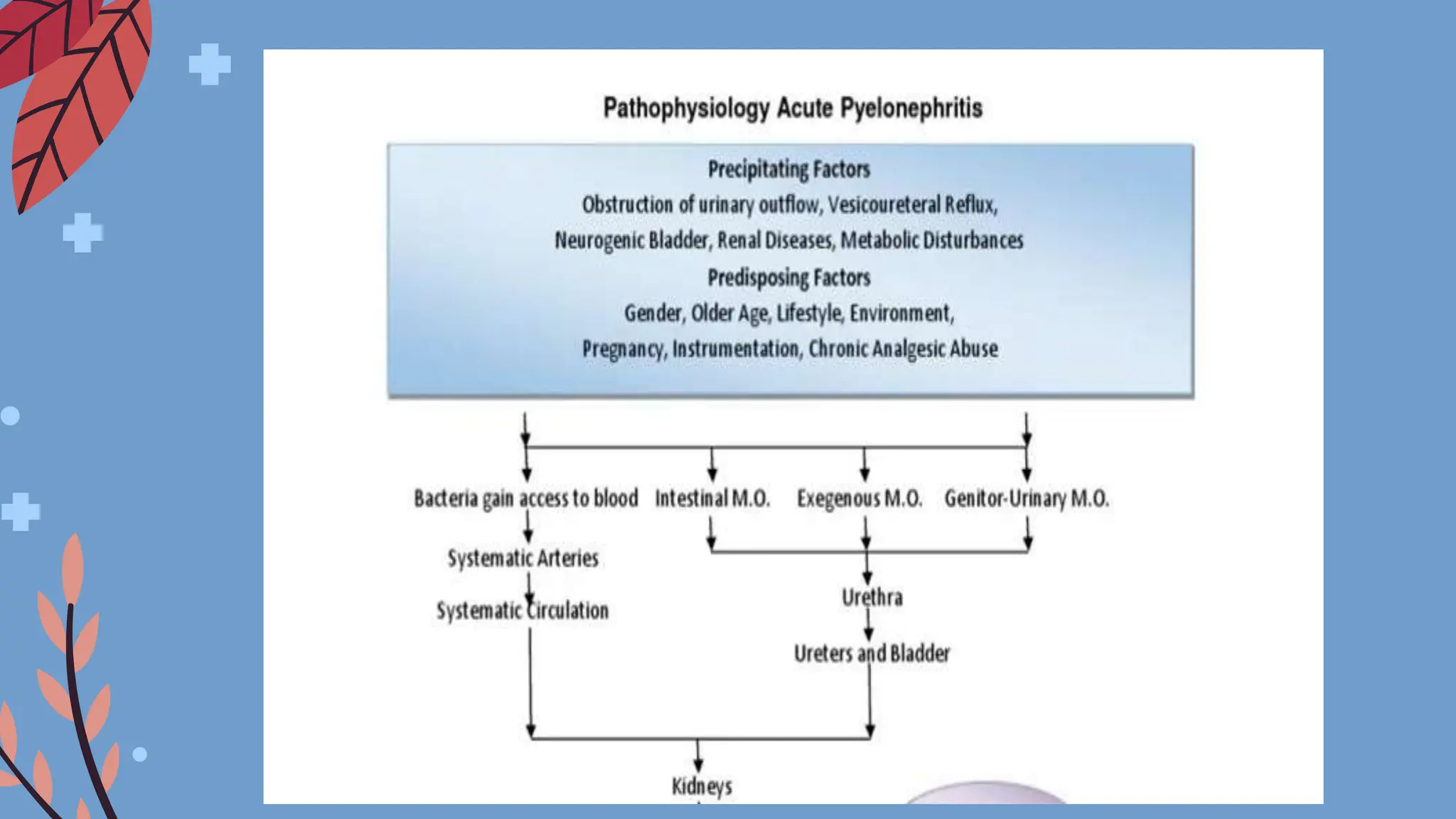 ACUTE-PYELONEPHRITIS in pediatrics in the philippines.pptx