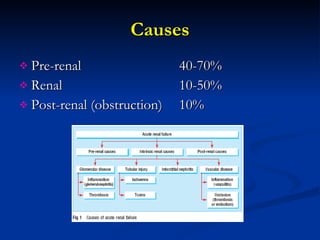 Acute Renal Failure | PPT