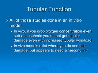 acute-renal-failure.ppt