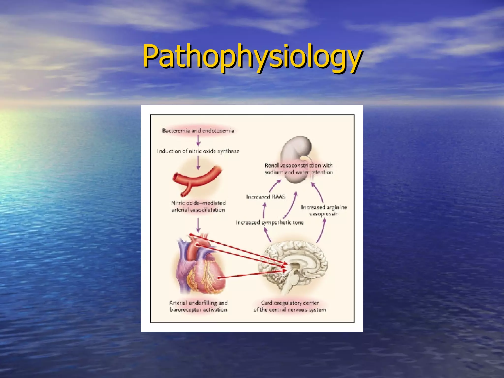 Acute Renal Failure And Sepsis | PPT