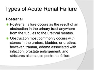 Acute-Renal-Failure-ppt.pptx