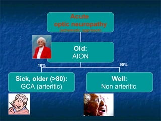 Acute-Visual-Loss-Emergency-Room-Perspective.ppt