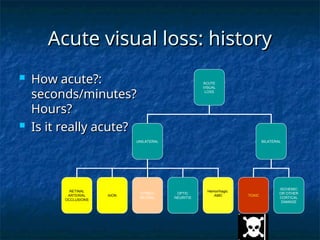 Acute-Visual-Loss-Emergency-Room-Perspective.ppt