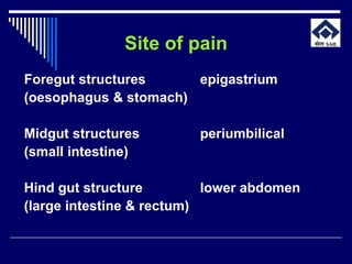 acute abdomen | PPT