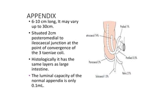 acute abdomen.pptx