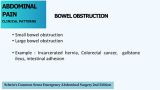 Acute Abdomen.pdf