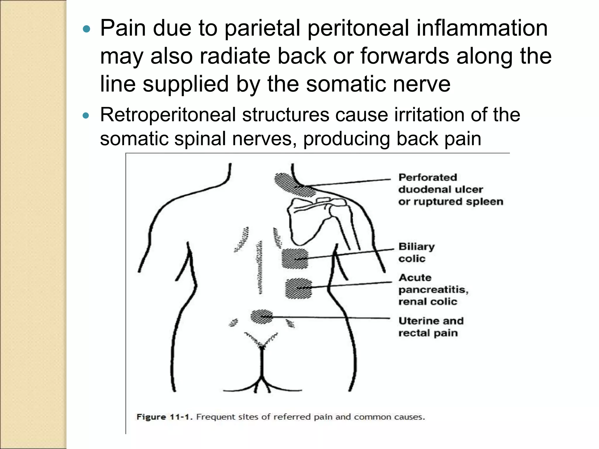 Acute abdomen.ppt