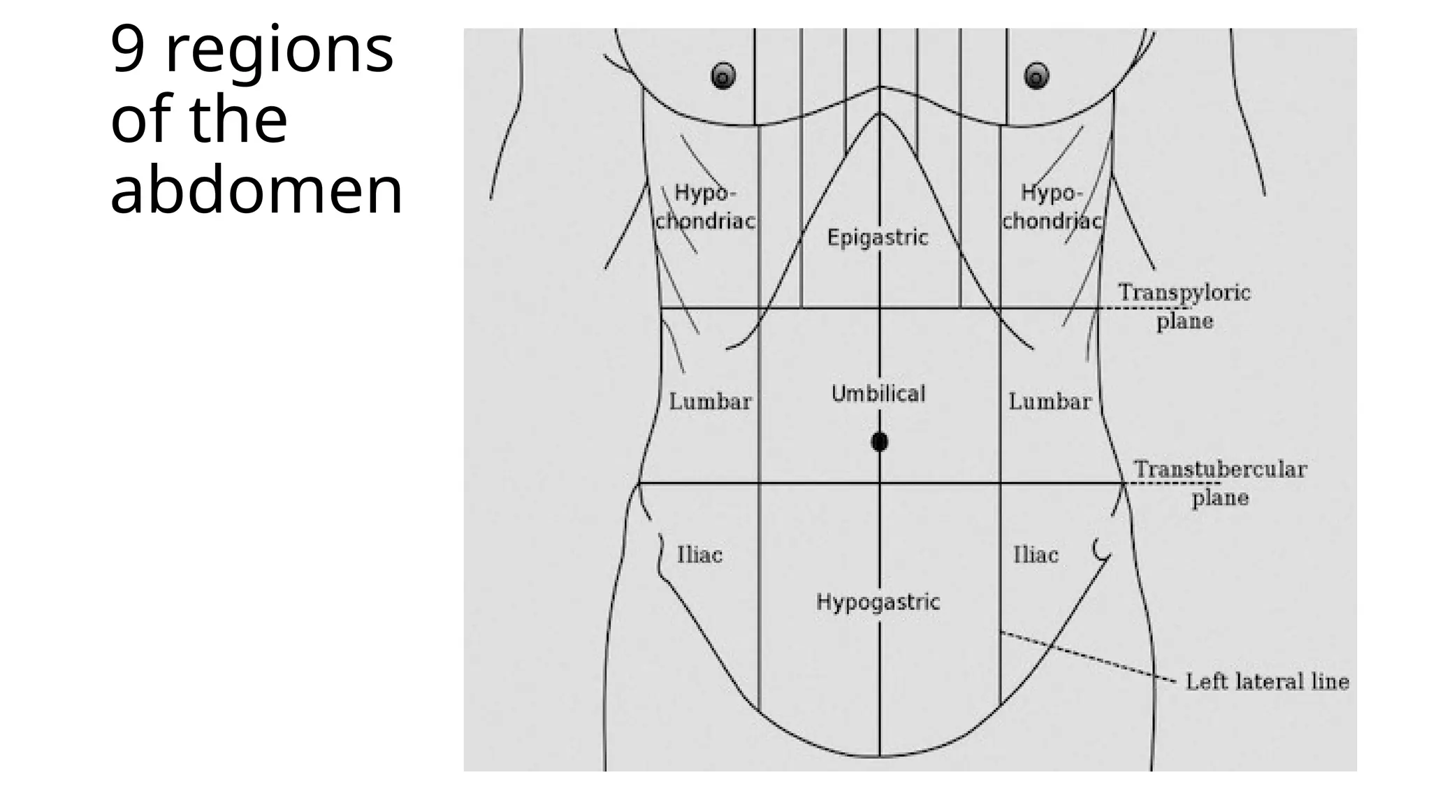 ACUTE ABDOMEN appendicitis AND peritonitis eden 2024.pptx