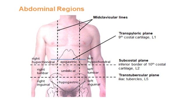 ACUTE ABDOMEN appendicitis AND peritonitis eden 2024.pptx
