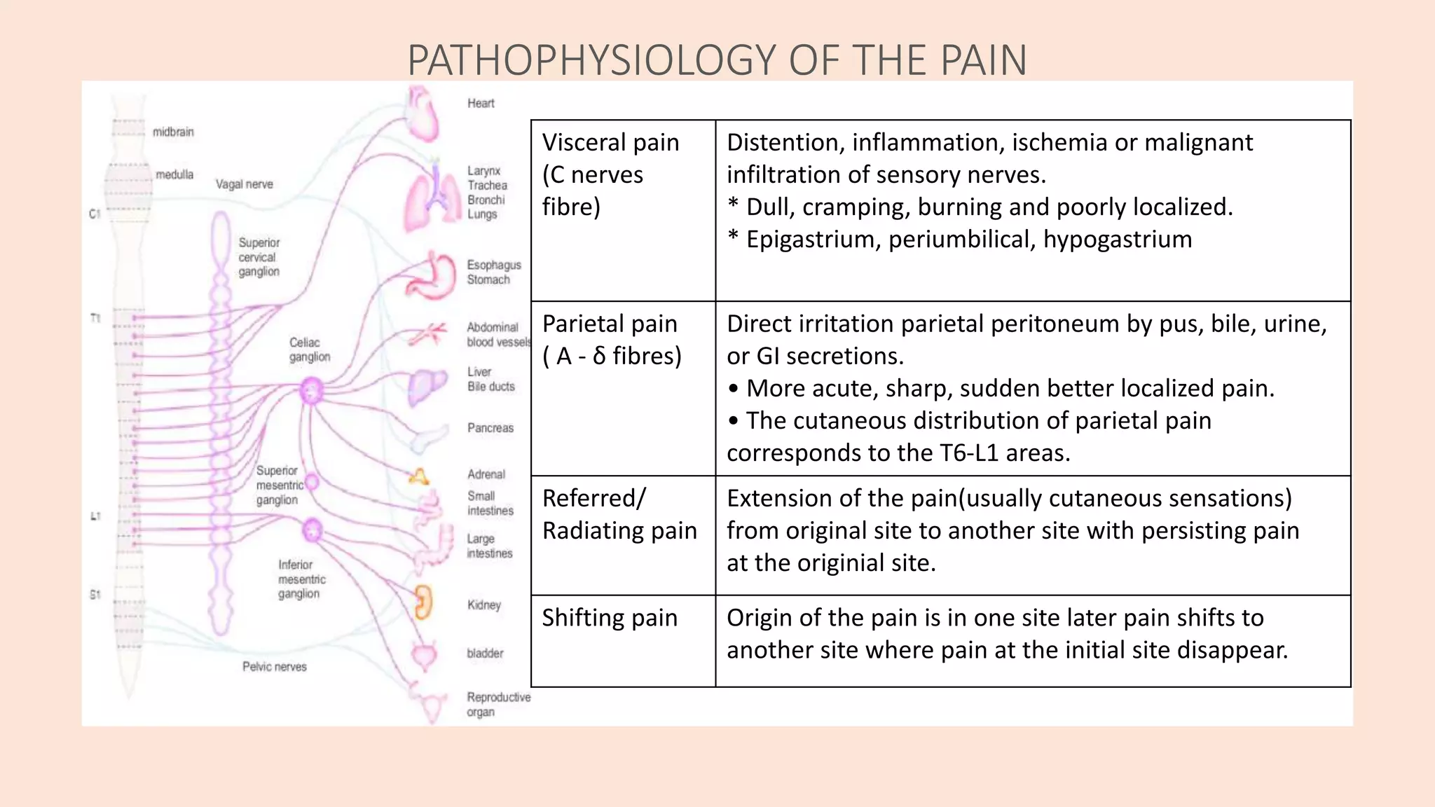 ACUTE ABDOMEN pptx | PPTX