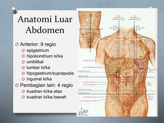 Acute Abdomen (acute abdominal pain).pptx