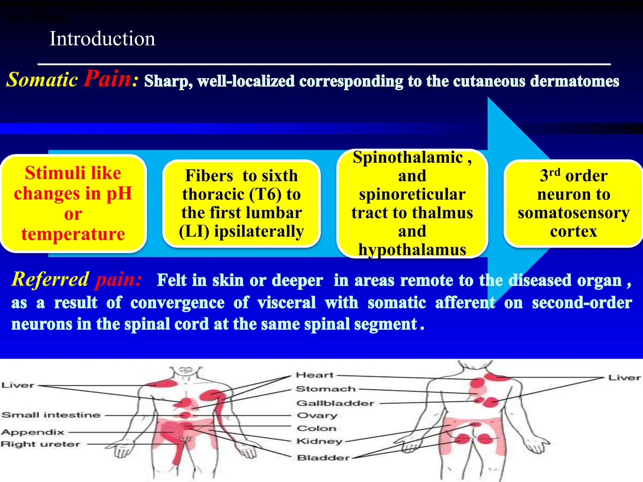 Acute abdomen the lect .ppt