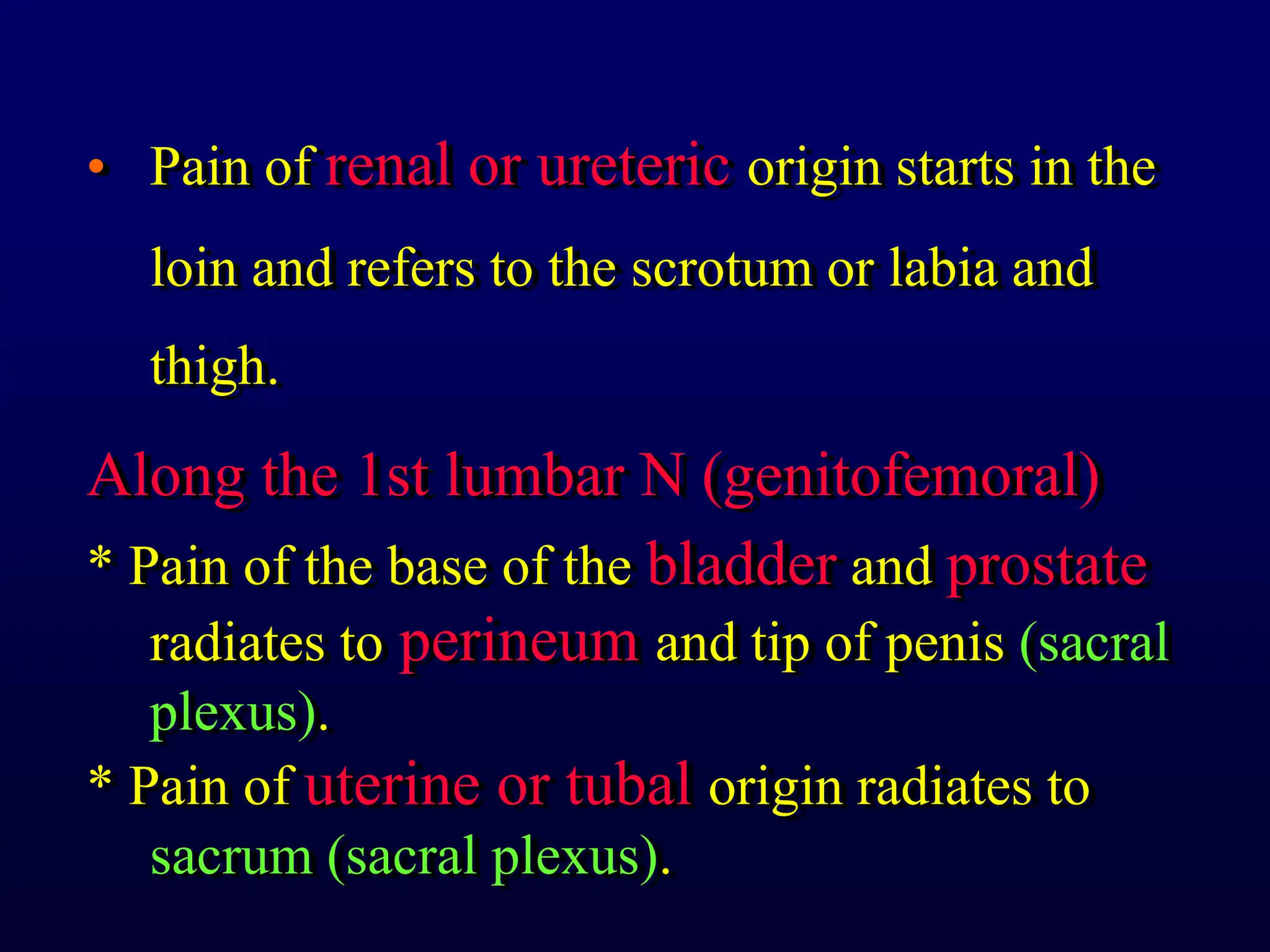 Acute abdomen the lect .ppt