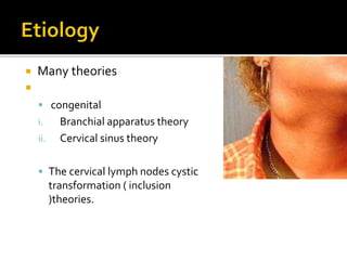 Persistent Cervical Sinus