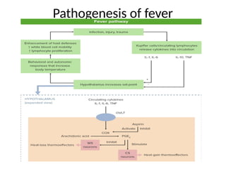 ACUTE AND CHRONIC FEVER with their management | PPTX
