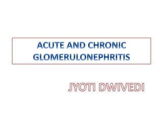 Acute and chronic glomerulonephritis | PPTX