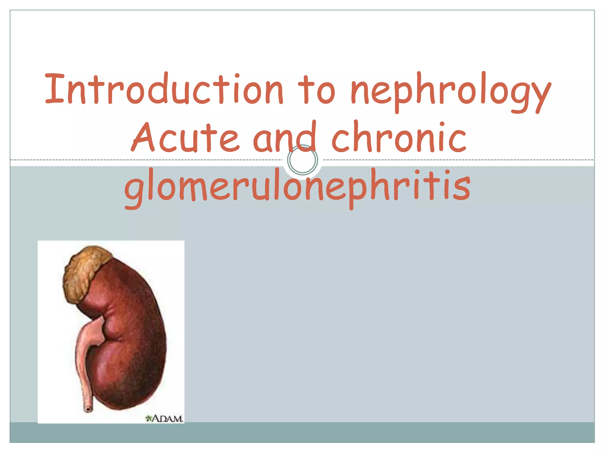 Acute and chronic glomerulonephritis | PPT