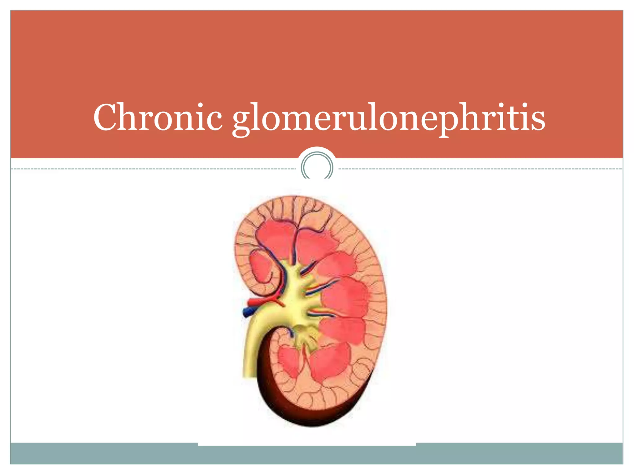 Acute and chronic glomerulonephritis | PPT
