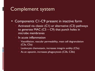 Acute and chronic inflammation | PPT