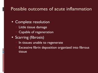 Acute and chronic inflammation | PPT