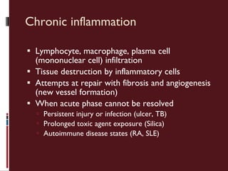 Acute and chronic inflammation | PPT