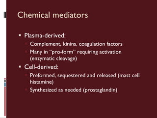 Acute and chronic inflammation | PPT