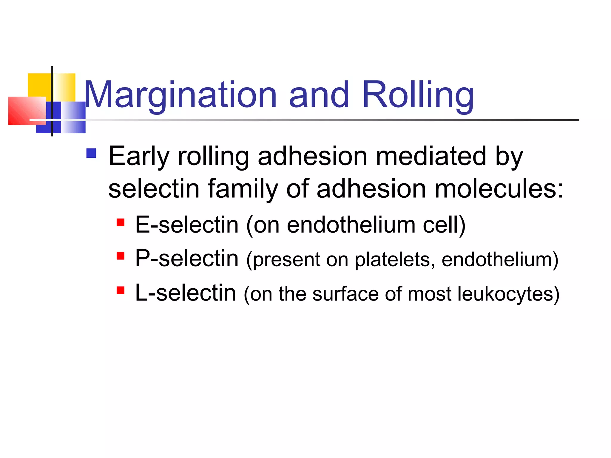 Acute and chronic inflammation | PPT