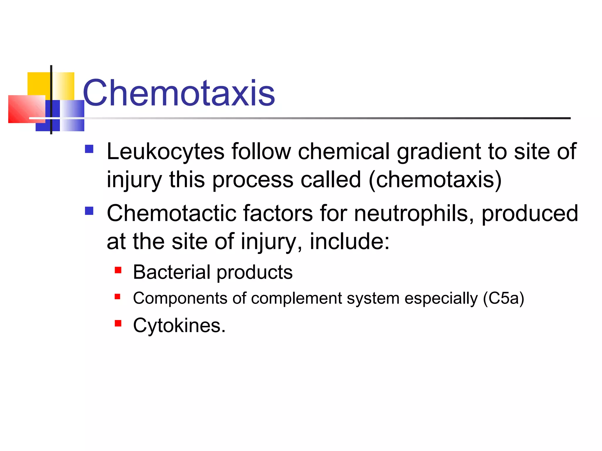 Acute and chronic inflammation | PPT