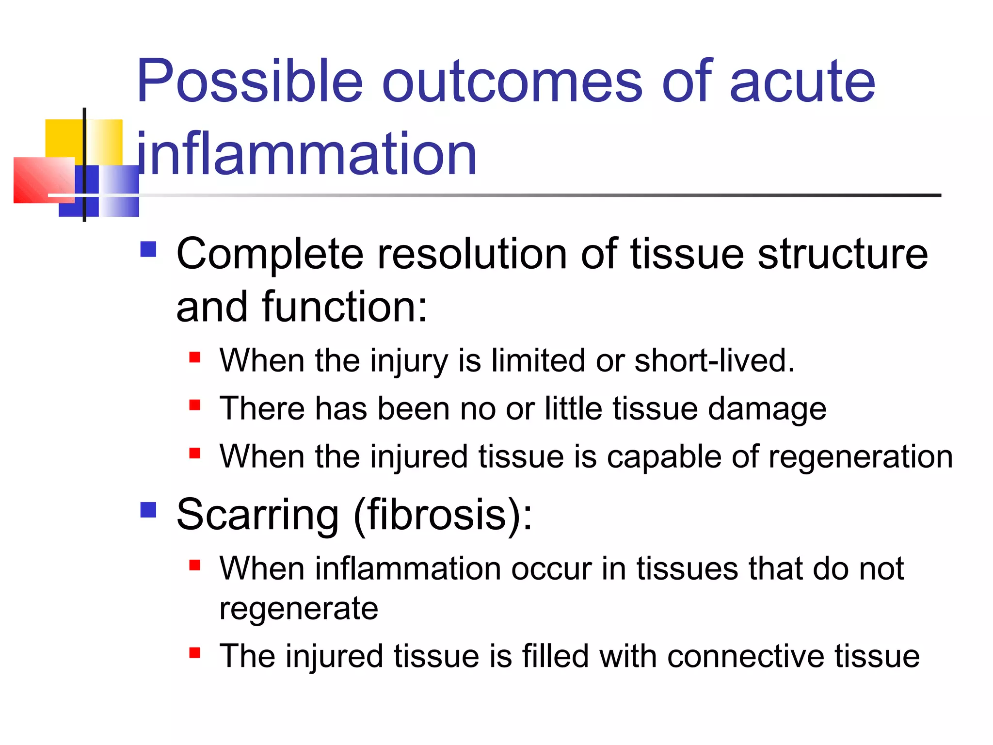 Acute and chronic inflammation | PPT