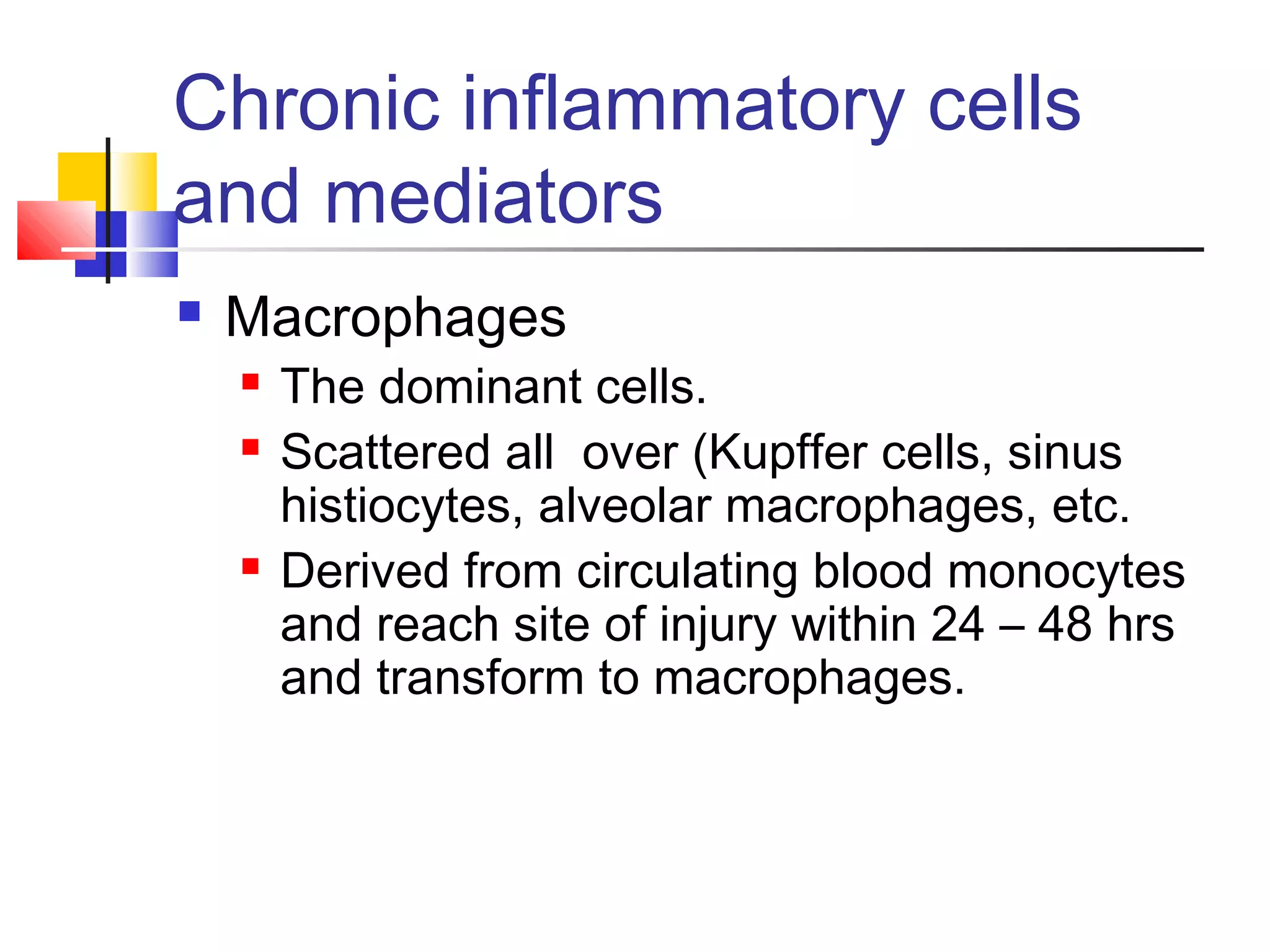 Acute and chronic inflammation | PPT