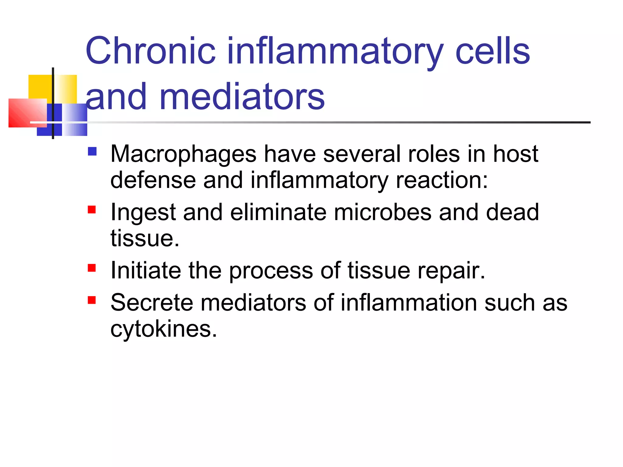 Acute and chronic inflammation | PPT