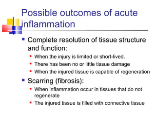 Acute and chronic inflammation | PPT