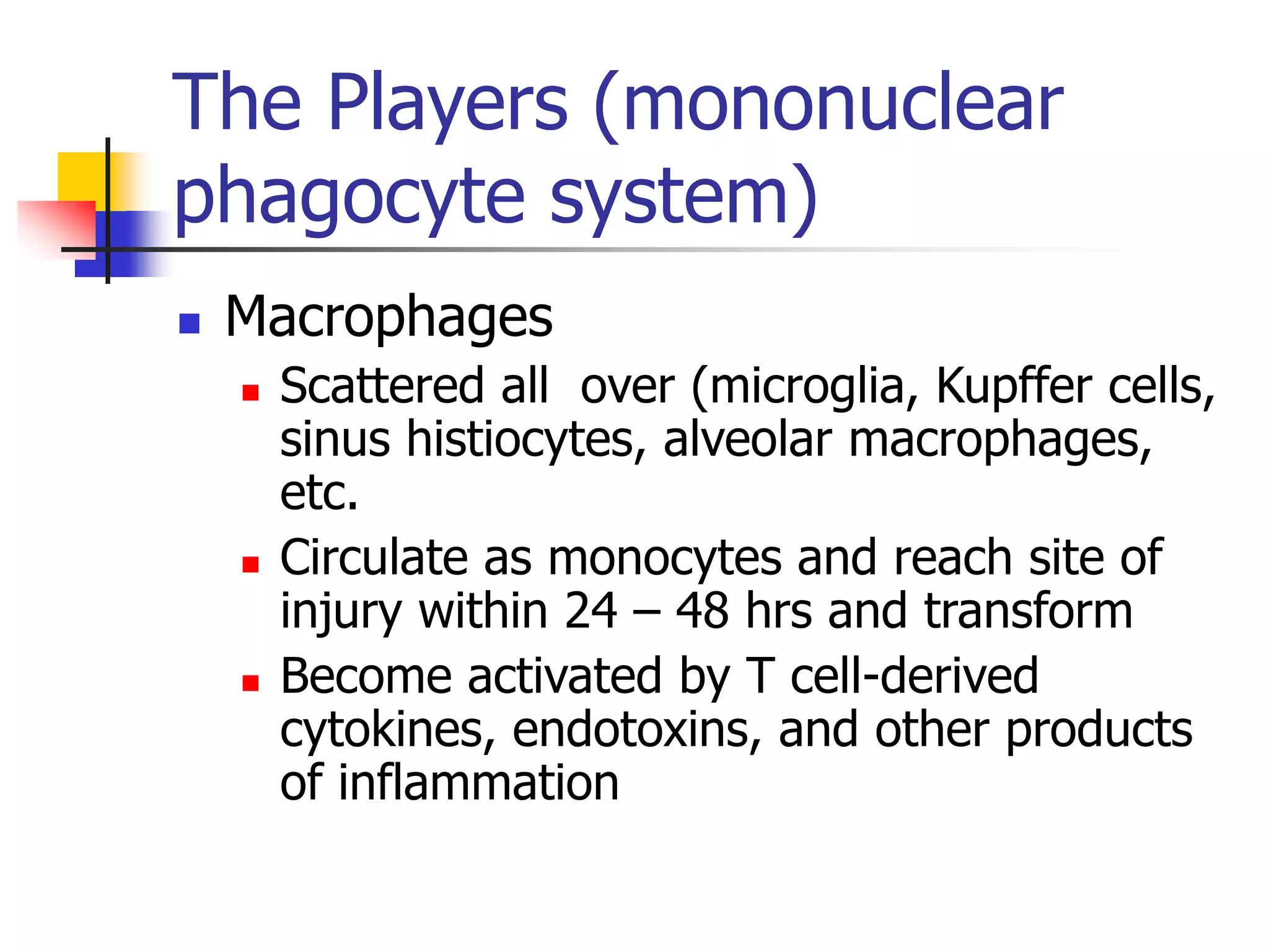 Acute and Chronic Inflammation.PPT