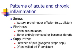Acute and Chronic Inflammation.PPT