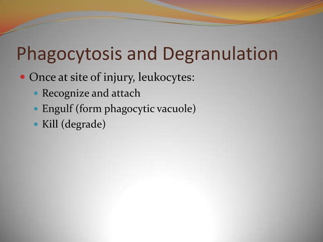 Acute and chronic inflammation 1 robbins | PPTX | Blood Disorders ...