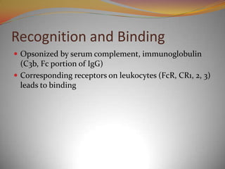 Acute and chronic inflammation 1 robbins | PPTX